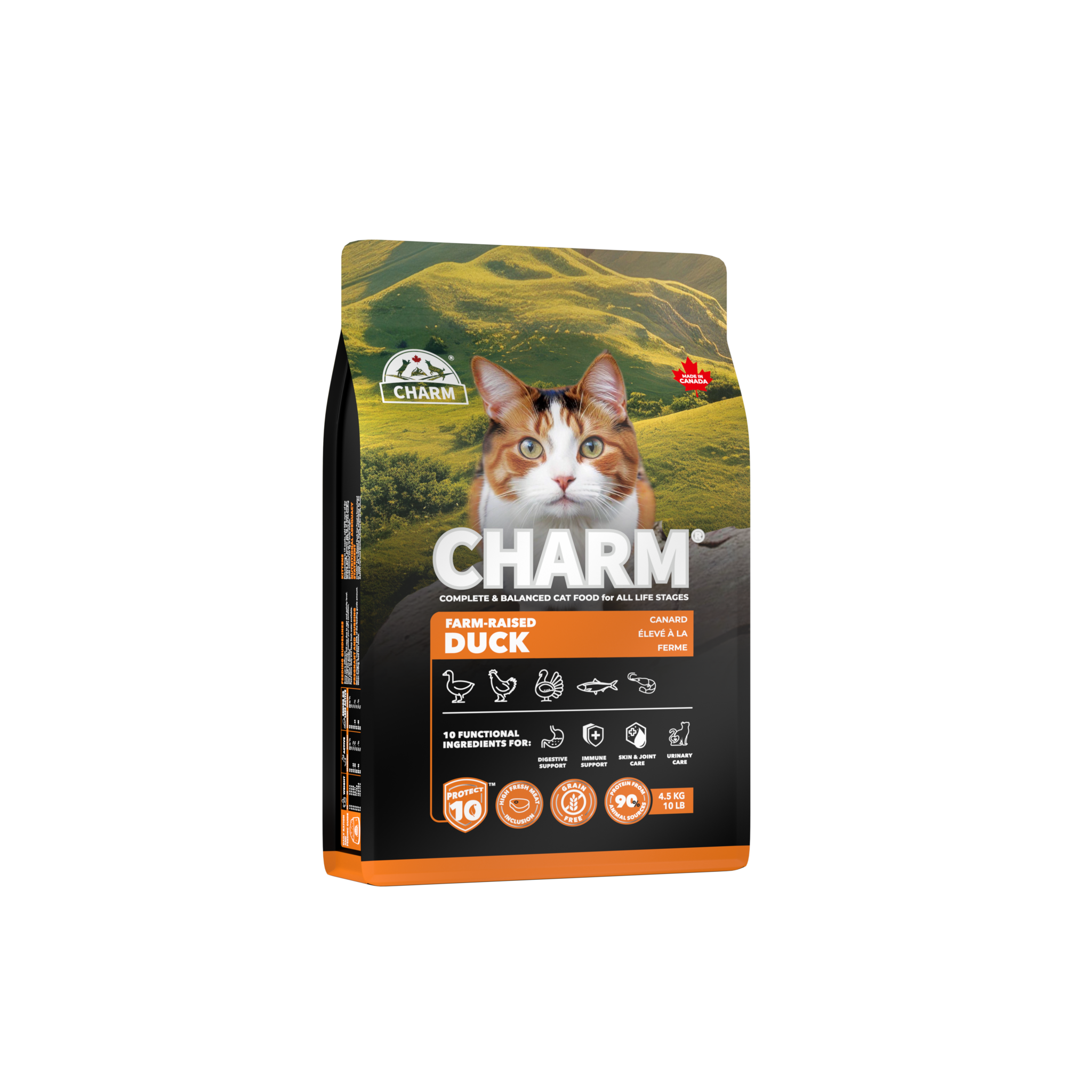 Dry Cat Food